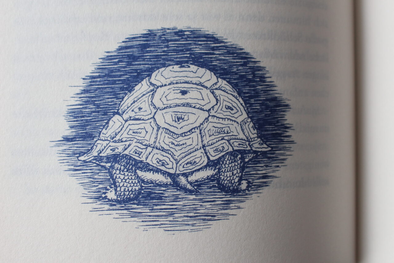 Momo von Michael Ende - book-souls.com